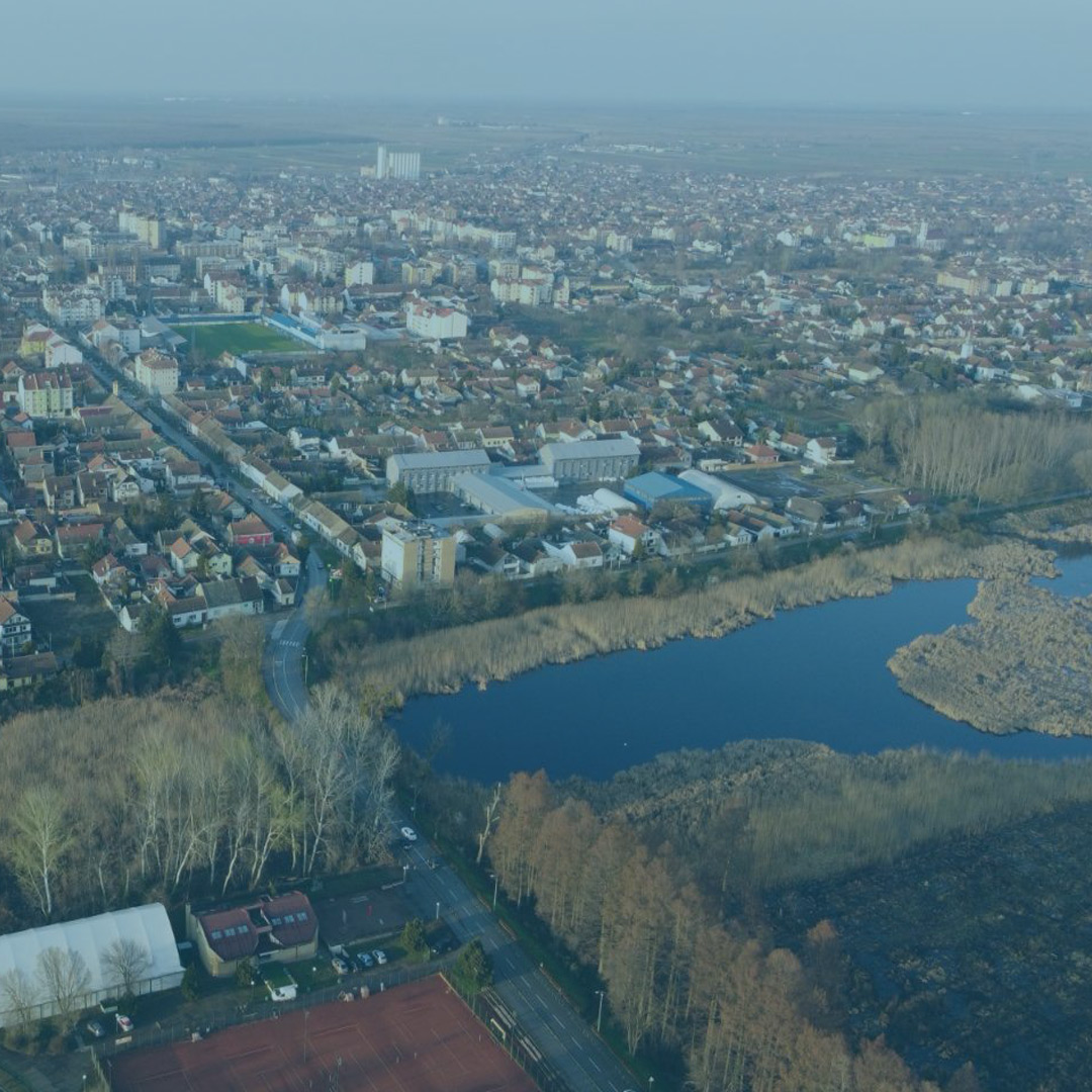 Slikaj i Cirkaj - Radionice slikanja za amatere